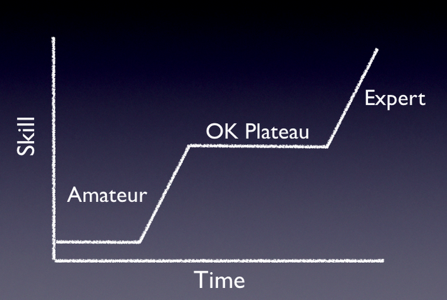 Why Plateauing Can Be the Key to Success