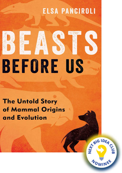 84 Books Coming Out in the Fall That We Can’t Wait to Read